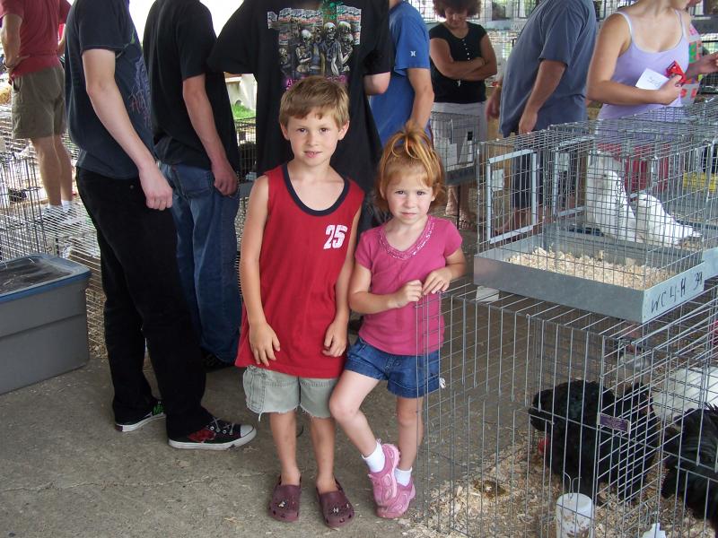Warren County Farmers’ Fair – RCE of Warren County